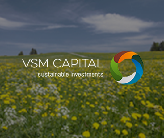 About Us | VSM Investment Studio